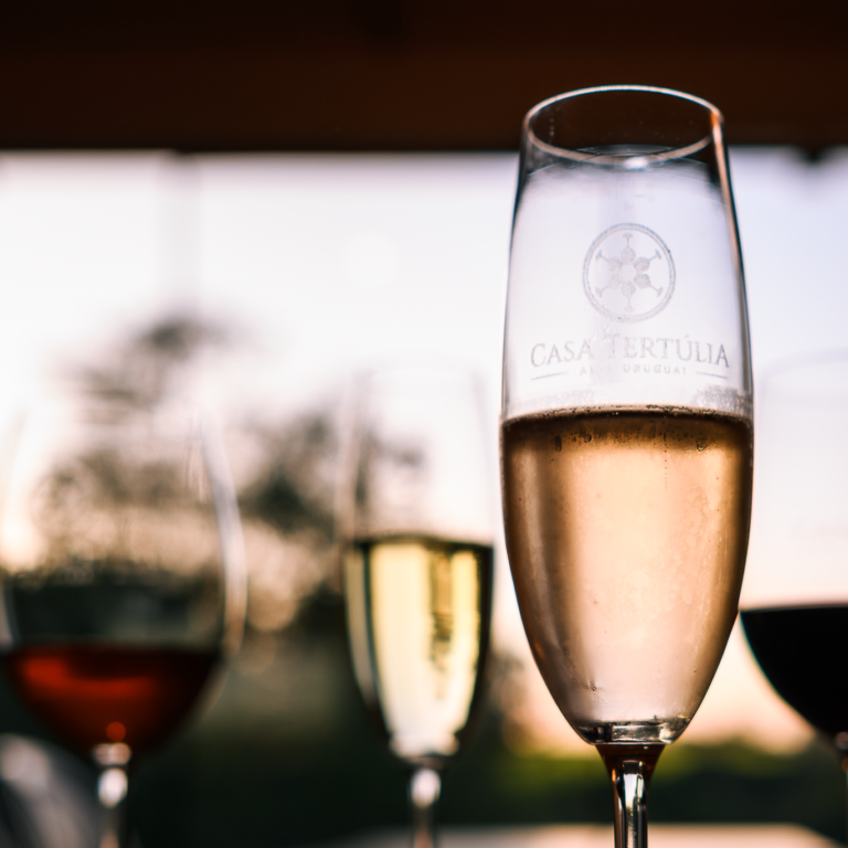 Casa Tertúlia - Charmat e Champenoise: diferenças de cada método na ...